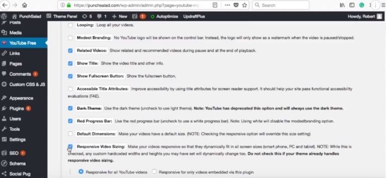 Embed YouTube Video (Ultimate Guide) - PunchSalad