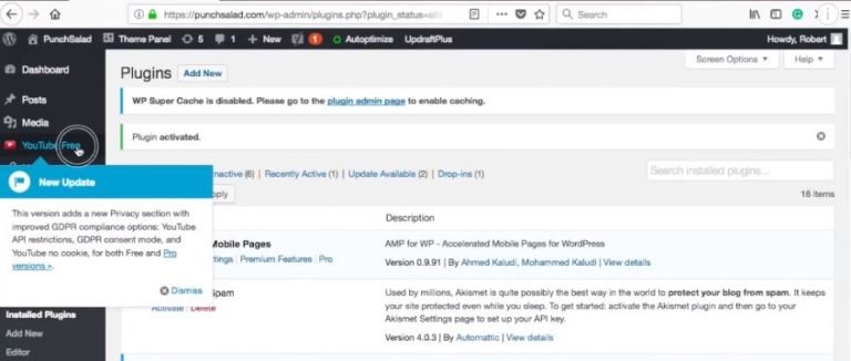 Embed YouTube Video (Ultimate Guide) - PunchSalad