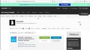 How to Install a ThemeForest WordPress Theme (Premium WordPress Theme ...